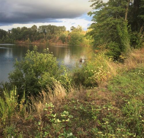 Groundbreaking Ceremony Eagle Park | City of Harrisburg Oregon