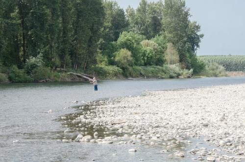 Riverfront Park | City of Harrisburg Oregon