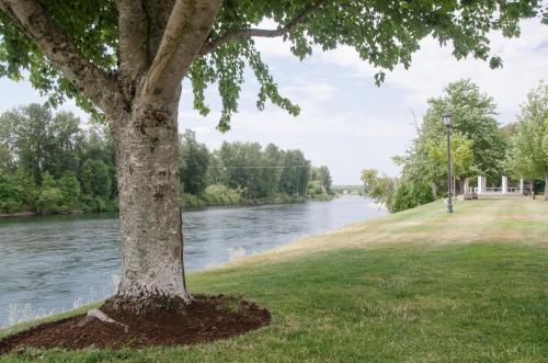 Riverfront Park | City of Harrisburg Oregon